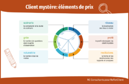 Tout savoir du client mystère: Les 3 Qs et 2Cs du mystery shopping [et ...